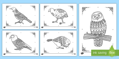 Year 3-4 Native Bird Report Writing Pack