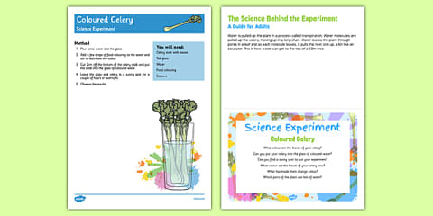 EYLF Science Week Educator Guidance