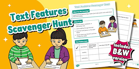 Informational Text Features Posters