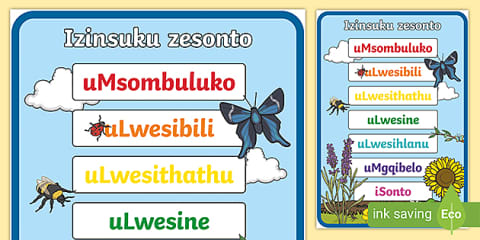 Umzimba wami amakhadi - Body Part Cards (isiZulu)