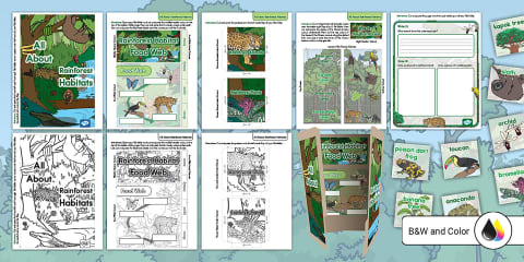 Rainforest Animals Word Search for K-2nd Grade