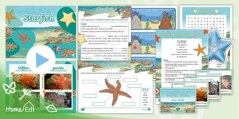 Early Childhood Label the Starfish Cut and Paste Worksheet