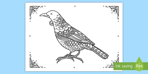 Tūī Life Cycle Cut Outs