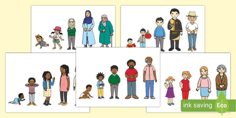 Stages of Growth Sequencing Activity