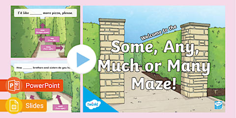 ESL Some and Any Activity Sheet for Teens