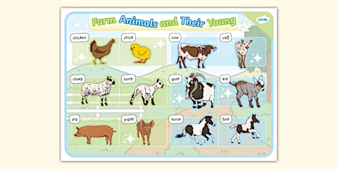 Farm Themed Phoneme Frames - farm, phoneme frames, letters, words, sounds