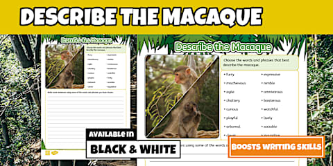 10 Interesting Facts About Canada Worksheet