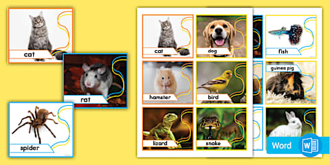 Animal Alphabet Flash Cards