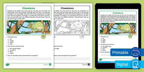 Chameleon Fact File Template - Twinkl - KS1