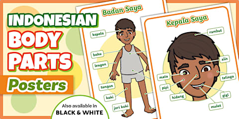 Indonesian Parts of Face Differentiated Colour by Numbers