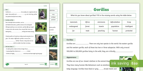 KS1 All About Gorillas Differentiated Reading Comprehension Activity