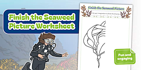 Where are the Electricals? I Spy Worksheet