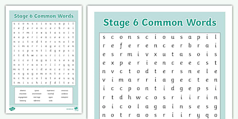 Stage 5 Common Words Word Search