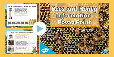 World Bee Day PowerPoint