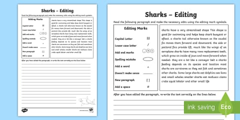 Parts of a Shark Labelling Worksheet | Shark Diagram