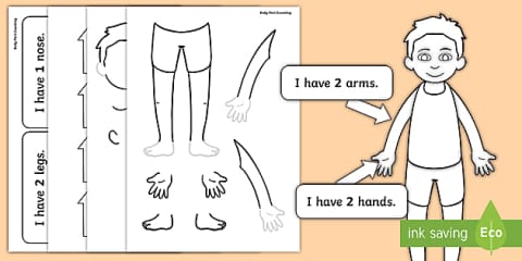 Label the body diagram activity
