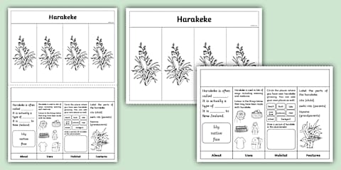 Tāwhirimātea God of Weather Story Cards