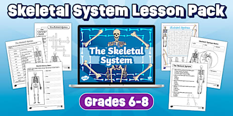 The Skeletal System Graphic Organizer for 6th-8th Grade