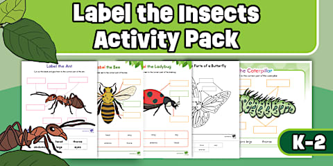 Draw and Label It Narrative Writing Worksheet for K-2nd Grade
