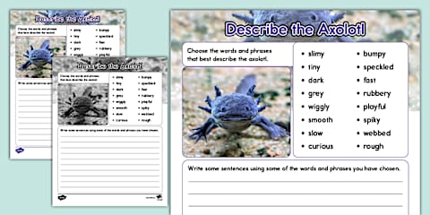 Axolotl Fact File Template