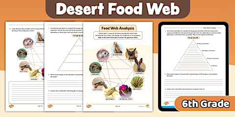 Seventh Grade Competition in Ecosystems Worksheet