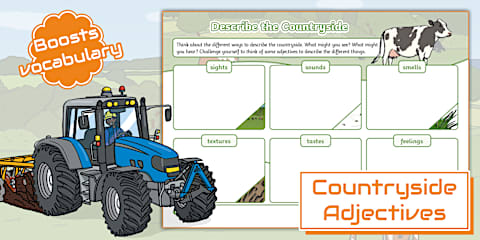 Draw the Garden Worksheet