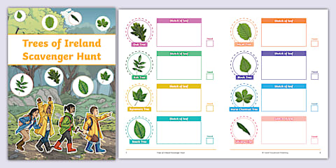 Exploring Nature Senses Scavenger Hunt Gaeilge