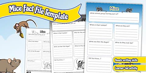 My Christmas Story: Newspaper Writing Template