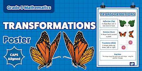 Grade 5 - Maths - Term 4 - Perimeter and Surface Area - Poster (CAPS ...