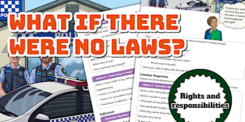 Research a Law Activity