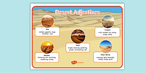 Desert Habitat Word Cards