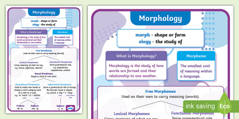 Morphology Lesson Plan Exemplars and Template