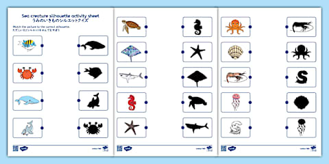 海の生き物 単語カード 幼児向け Cute Sea Creature Word Card Japanese and English