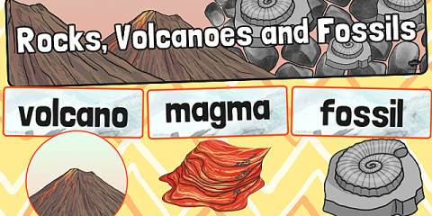 Rocks, Volcanoes and Fossils Word Cards