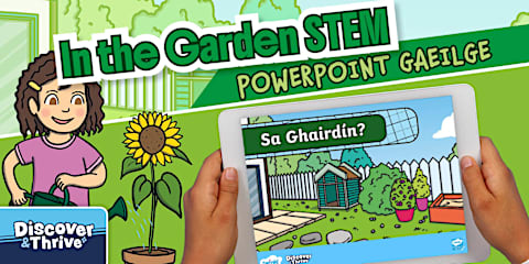 Food Traditions from Around the World Research Activity Gaeilge