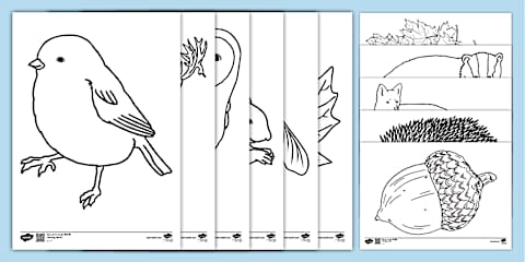 Forest Habitats Read and Write the Room Worksheet