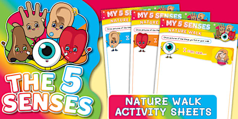 Grade R LS Term 2 - Five Senses - Activity Sheet: 5 Senses Matching ...