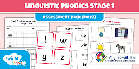 Phonics Stage 1 Assessment Pack (lwyz)