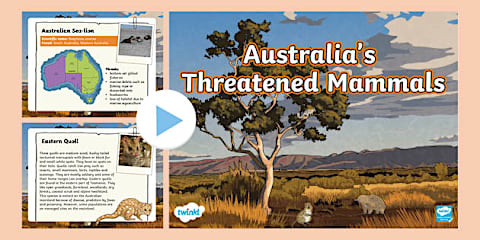Endangered Australian Animals PowerPoint