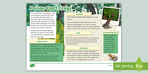 KS2 Iguana Fact File