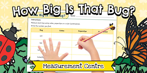 Cut and Stick: Butterfly Life Stages Sequencing Worksheet