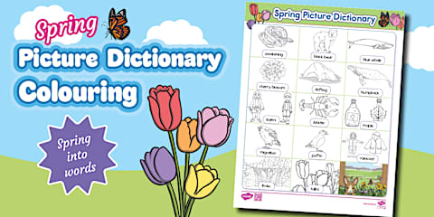 Bugs and Insects Doodle Colouring Sheet