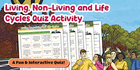 Living, Non-Living and Once-Living Escape Room