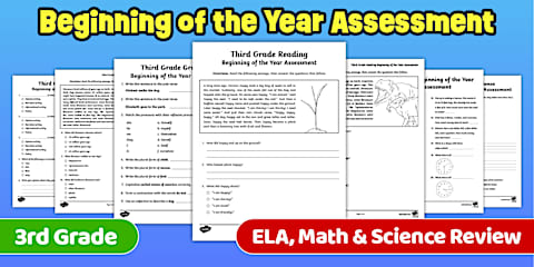 Third Grade End of the Year Assessment Pack