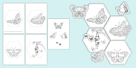 Cut and Stick: Butterfly Life Stages Sequencing Worksheet