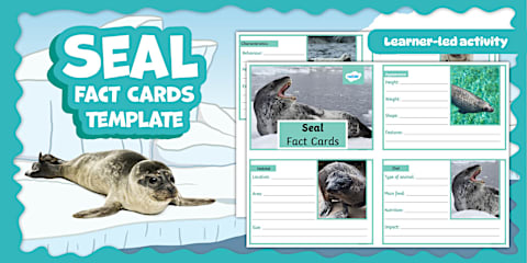 Litter Audit Worksheet