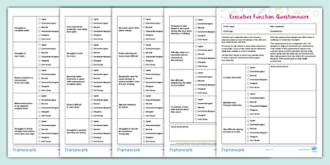 Executive Function Wheel