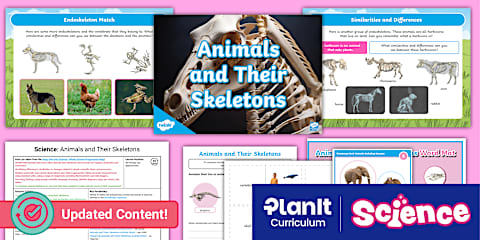 Animal Skeletons Cut-Outs
