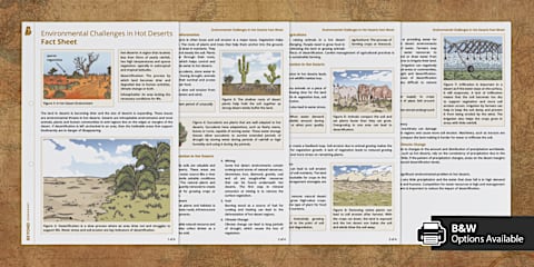 AQA Hot Deserts Reading Comprehension Bundle