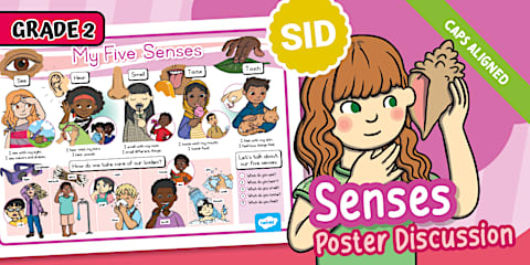 Grade 2 - Term 3 - Language - Fruit and Vegetables - Poster Discussion ...